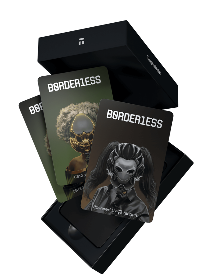 Borderless Wallet Preorder